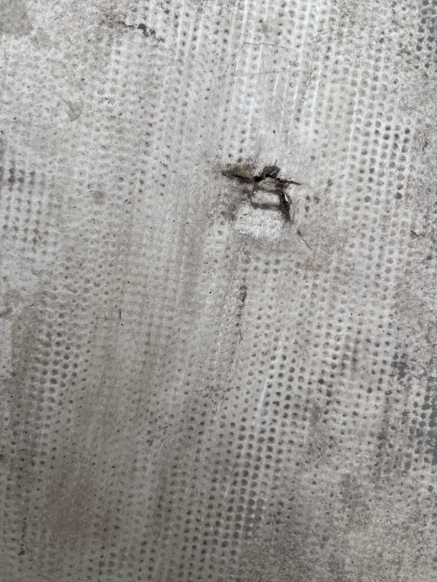 Roof SOS: 20 Roof Problems Calgary Homeowners Face