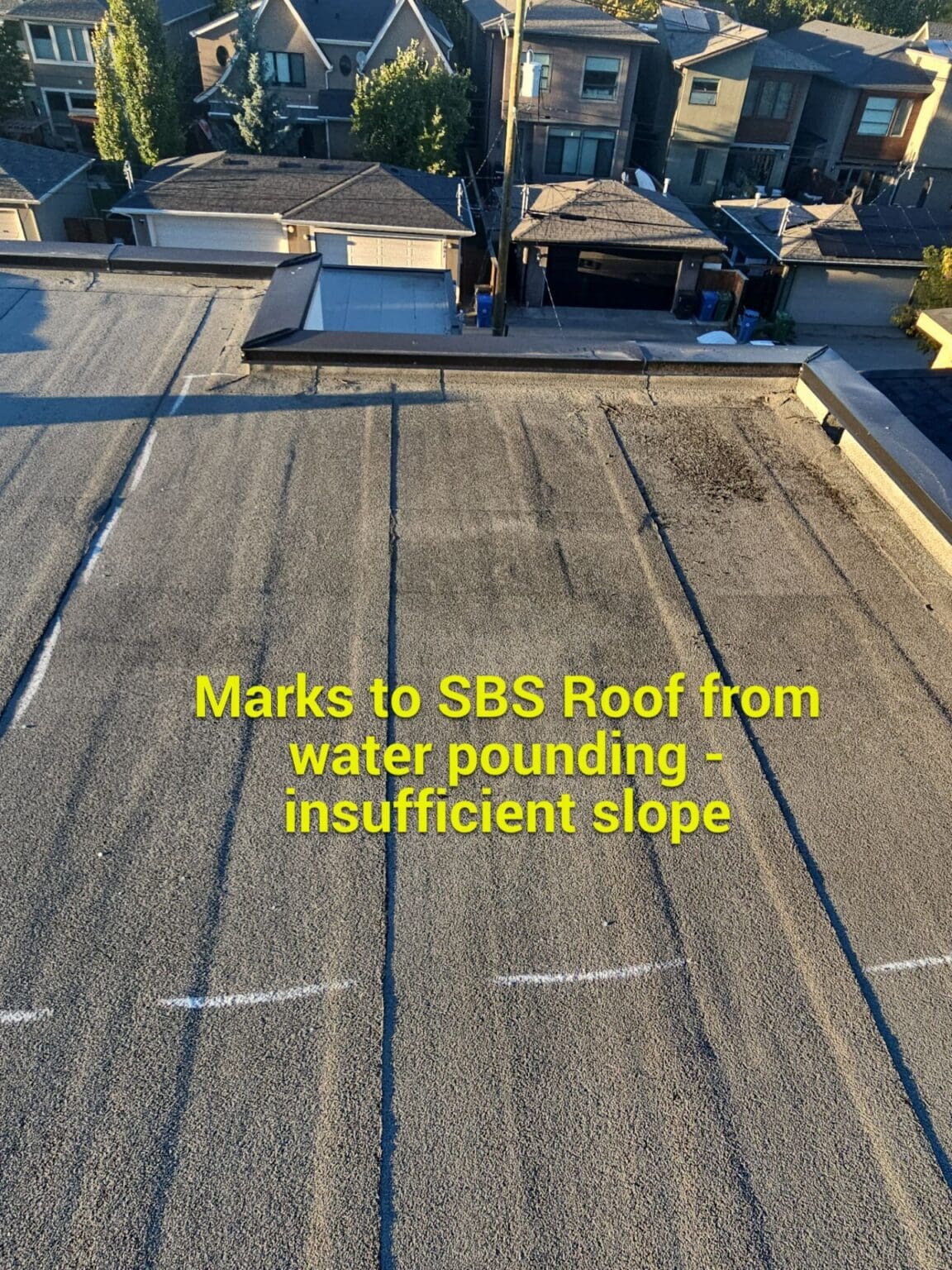 Roof SOS: 20 Roof Problems Calgary Homeowners Face