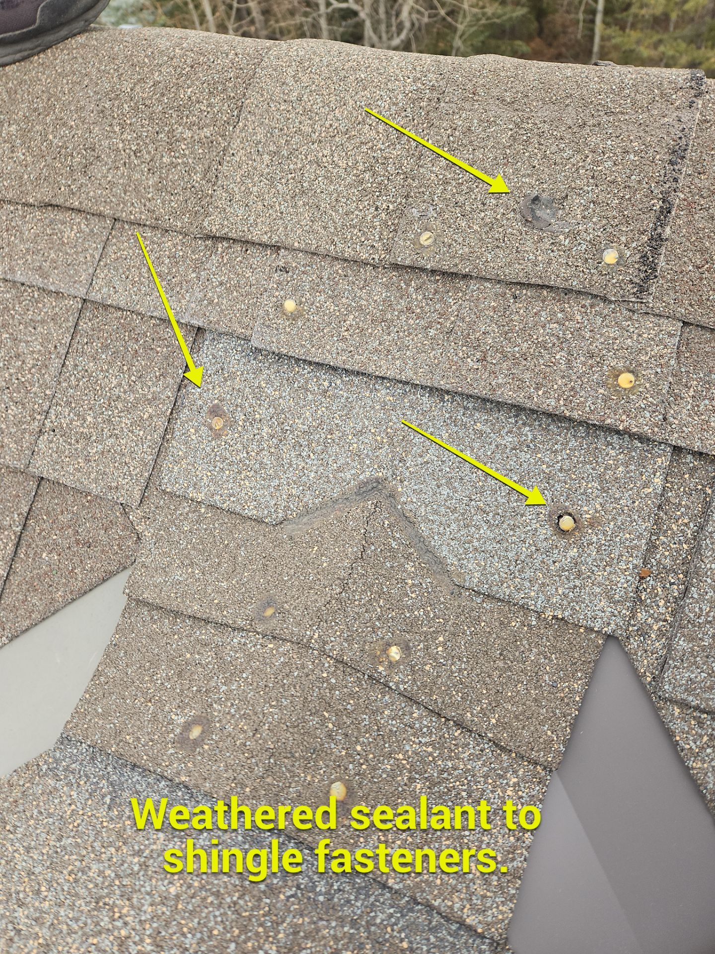 Roof SOS: 20 Roof Problems Calgary Homeowners Face